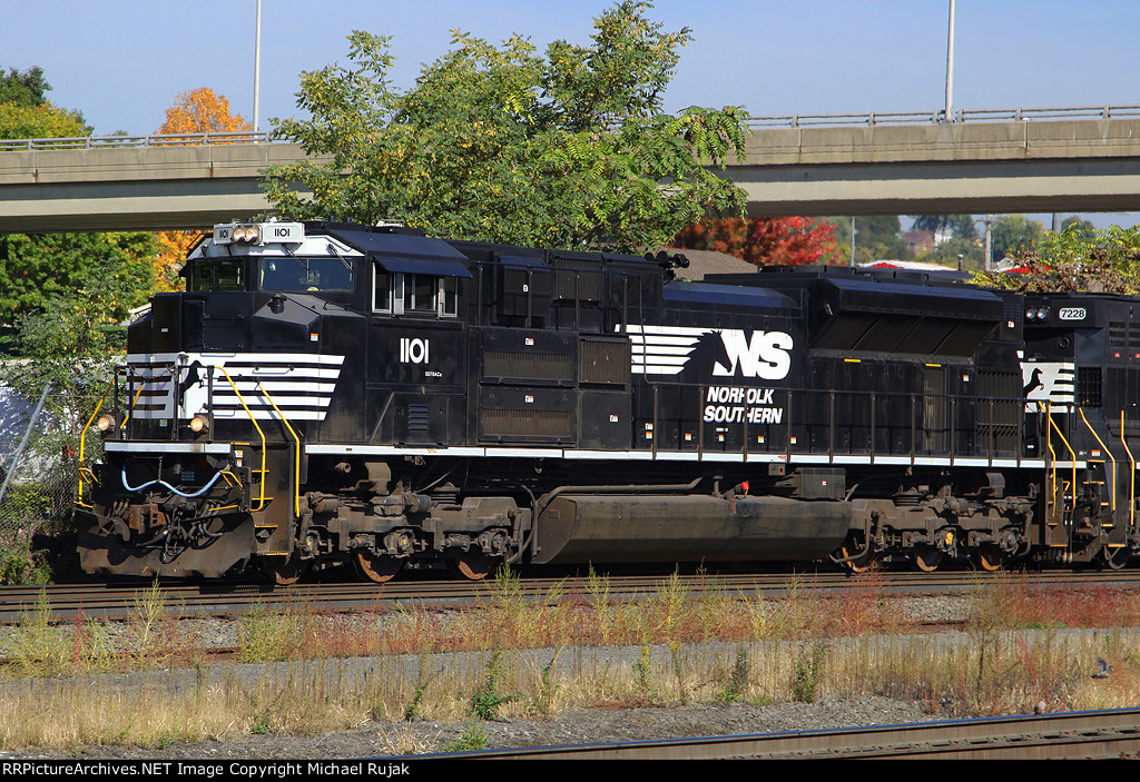 NS 1101
